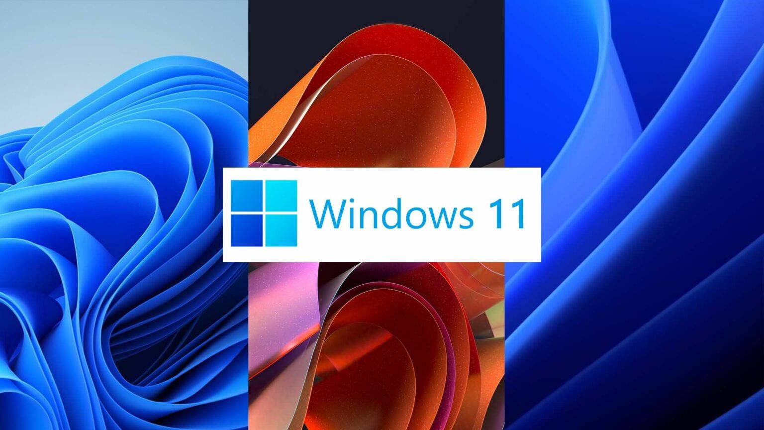 Ảnh nền Win 11 đẹp, sắc nét, điểm thêm màu sắc cho máy tính